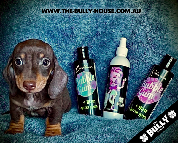 BUBBLEGUM - TRIO - 250 ml COMBO Pack ! – THE BULLY HOUSE