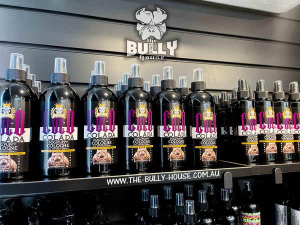 COCO COLADA - 500ml - Dog/Puppy Cologne spray - OUR FAMOUS SIGNATURE F ...
